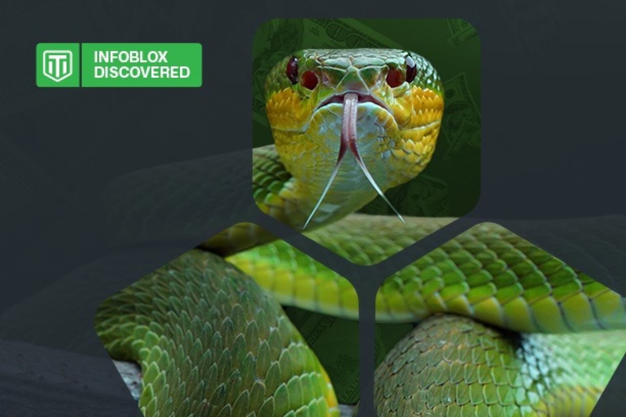 iTWire - Infoblox exposes: Chinese cybercrime syndicate linking ...