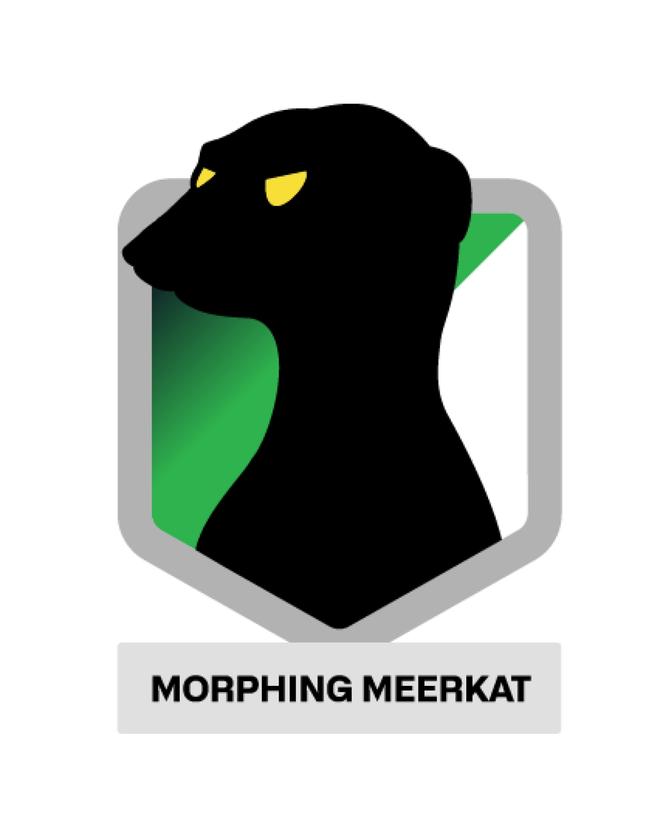 iTWire - Meerkat Mayhem: Phishing-as-a-Service Unleashed